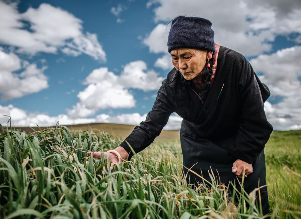 Climate Adaptation - Oxfam in mainland China